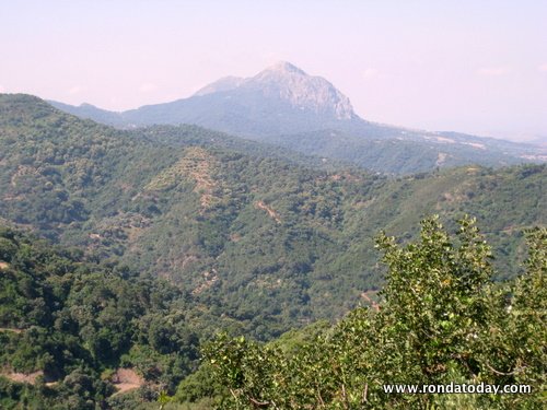 An Excursion to the Genal River and Genalguacil - Ronda Today
