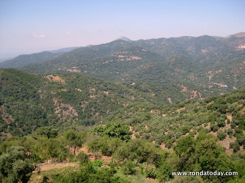An Excursion to the Genal River and Genalguacil - Ronda Today