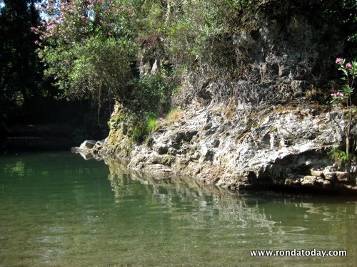 An Excursion to the Genal River and Genalguacil - Ronda Today